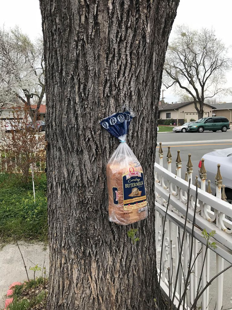 There’s An Online Community About Stapling Bread To Trees » Design You ...
