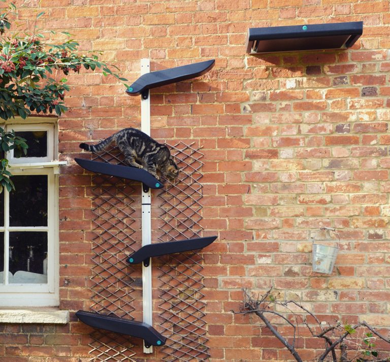 Catipilla – A Cat Climbing Frame Designed For Cats » Design You Trust ...