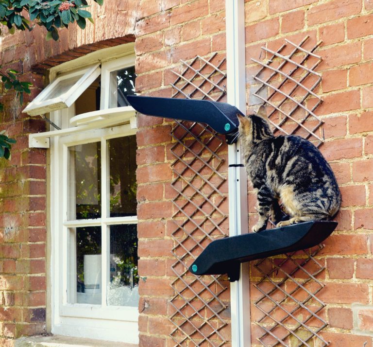 Catipilla – A Cat Climbing Frame Designed For Cats » Design You Trust ...
