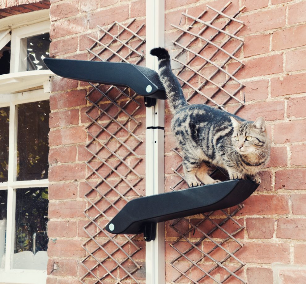 Catipilla – A Cat Climbing Frame Designed For Cats » Design You Trust ...