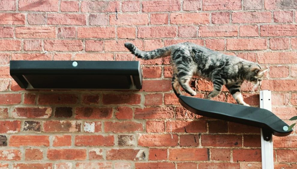 Catipilla – A Cat Climbing Frame Designed For Cats » Design You Trust ...