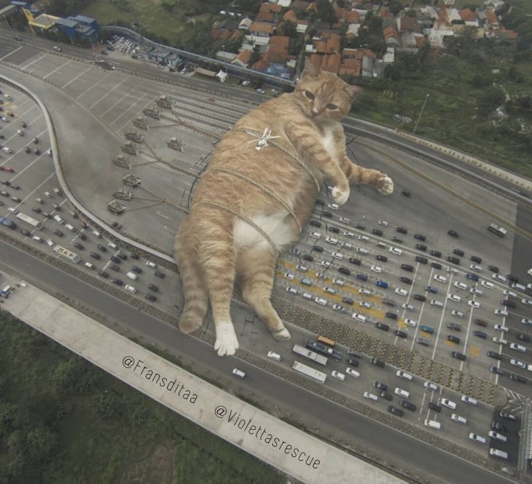 Catzillas: Giant Cats In Urban Landscapes » Design You Trust — Design ...