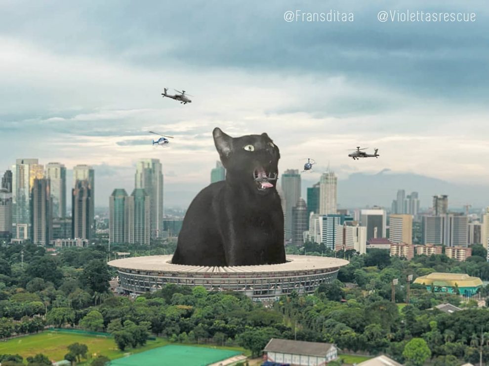 Catzillas: Giant Cats In Urban Landscapes » Design You Trust — Design ...
