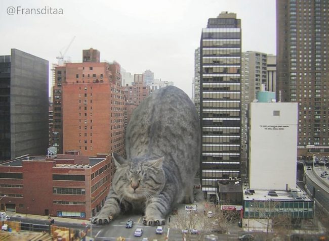 Catzillas: Giant Cats In Urban Landscapes » Design You Trust — Design ...