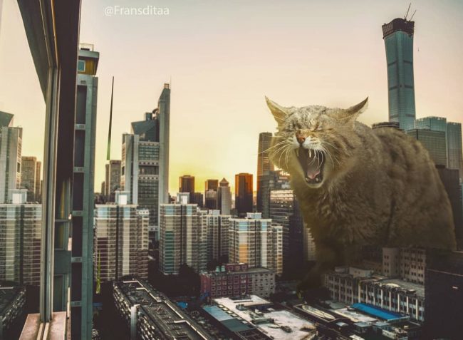 Catzillas: Giant Cats In Urban Landscapes » Design You Trust — Design ...