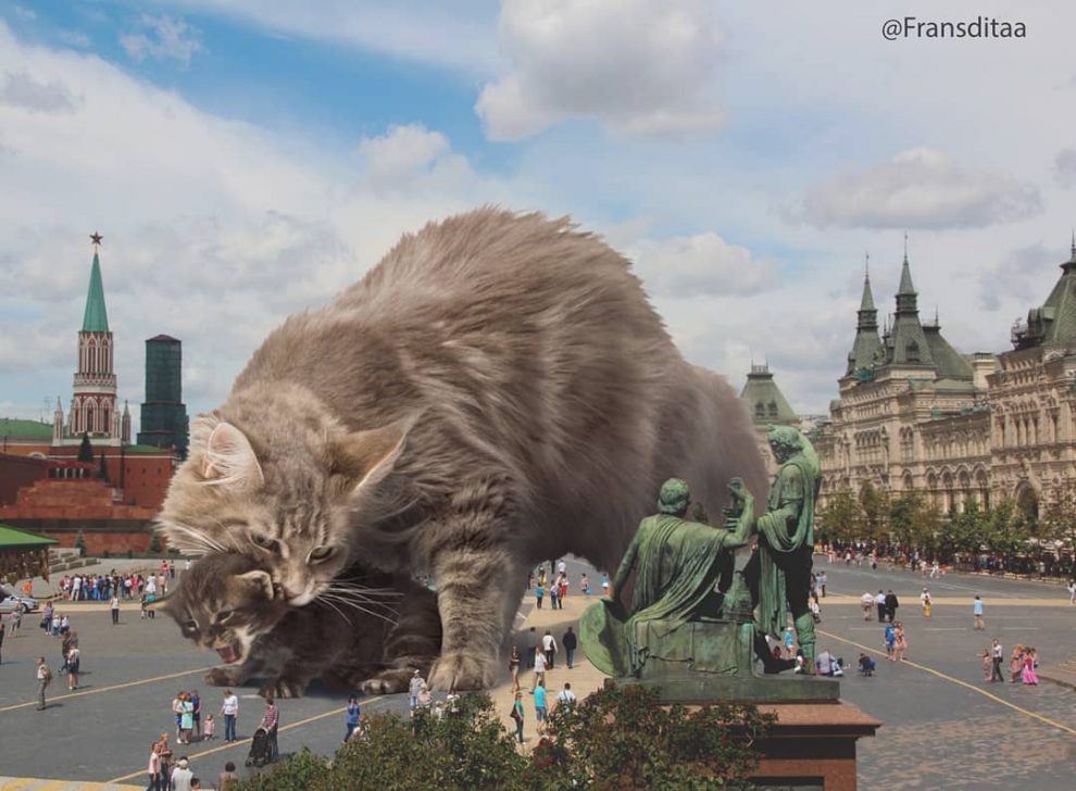 Catzillas: Giant Cats In Urban Landscapes » Design You Trust — Design ...