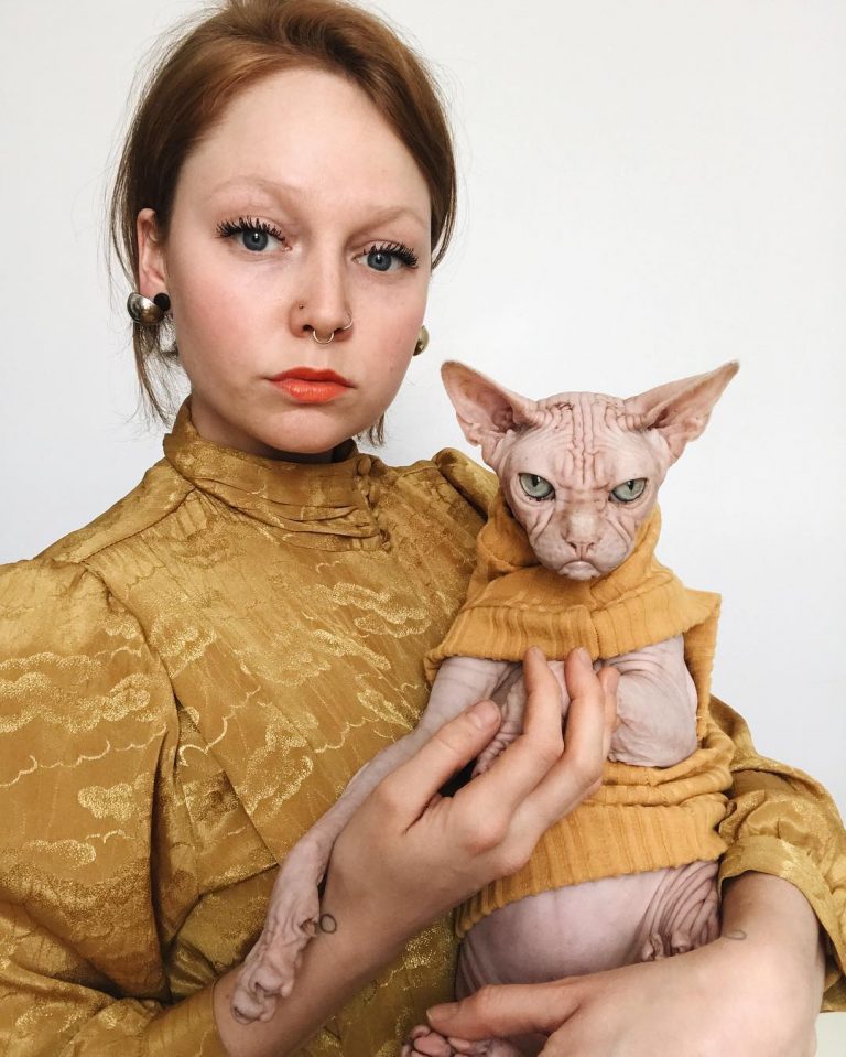 Meet Loki – The World’s Grumpiest Sphynx Cat » Design You Trust ...