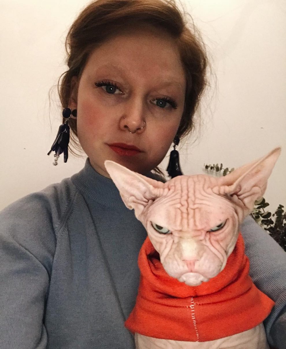 Meet Loki – The World’s Grumpiest Sphynx Cat » Design You Trust ...