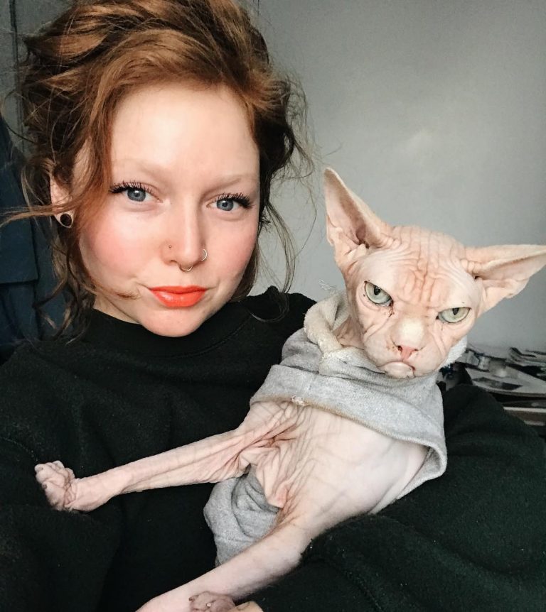 Meet Loki – The World’s Grumpiest Sphynx Cat » Design You Trust ...