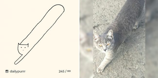 Stupid Cat Drawings On Daily Basis » Design You Trust — Design Daily ...