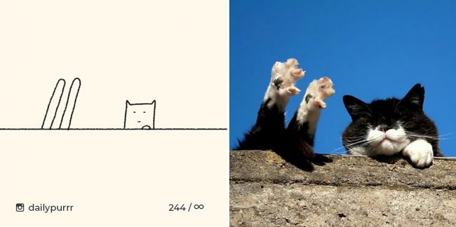 Stupid Cat Drawings On Daily Basis » Design You Trust — Design Daily ...