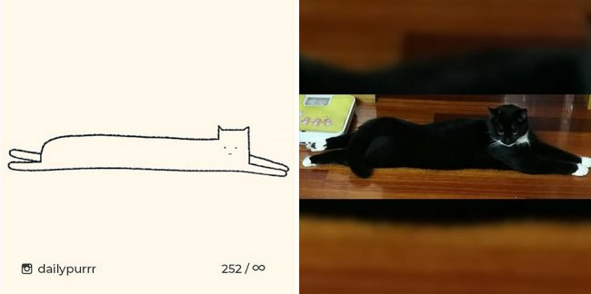 Stupid Cat Drawings On Daily Basis » Design You Trust — Design Daily ...
