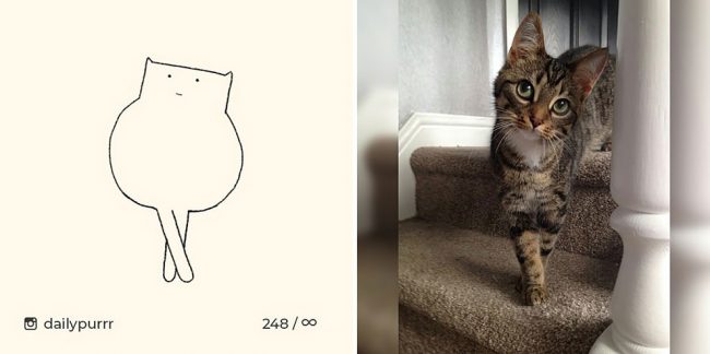 Stupid Cat Drawings On Daily Basis » Design You Trust — Design Daily ...