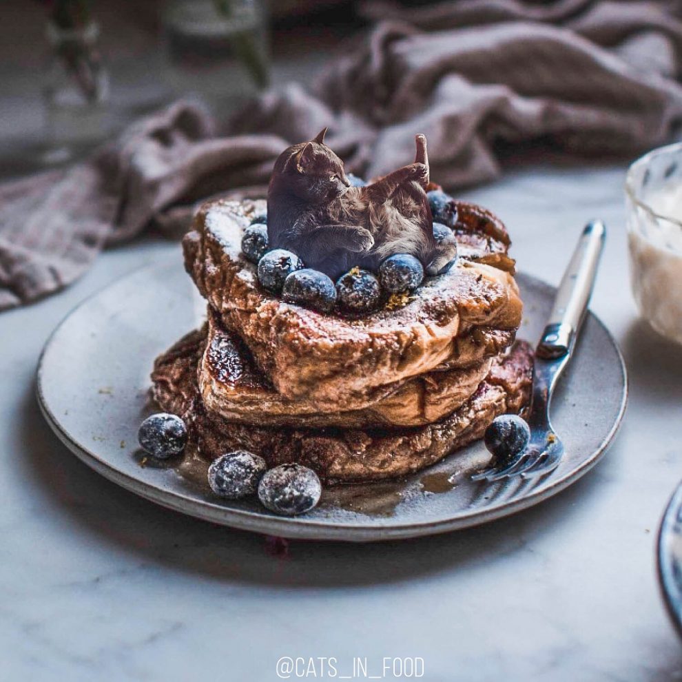 Artist Combines Cats & Food In A Cute Culinary Collaboration » Design ...