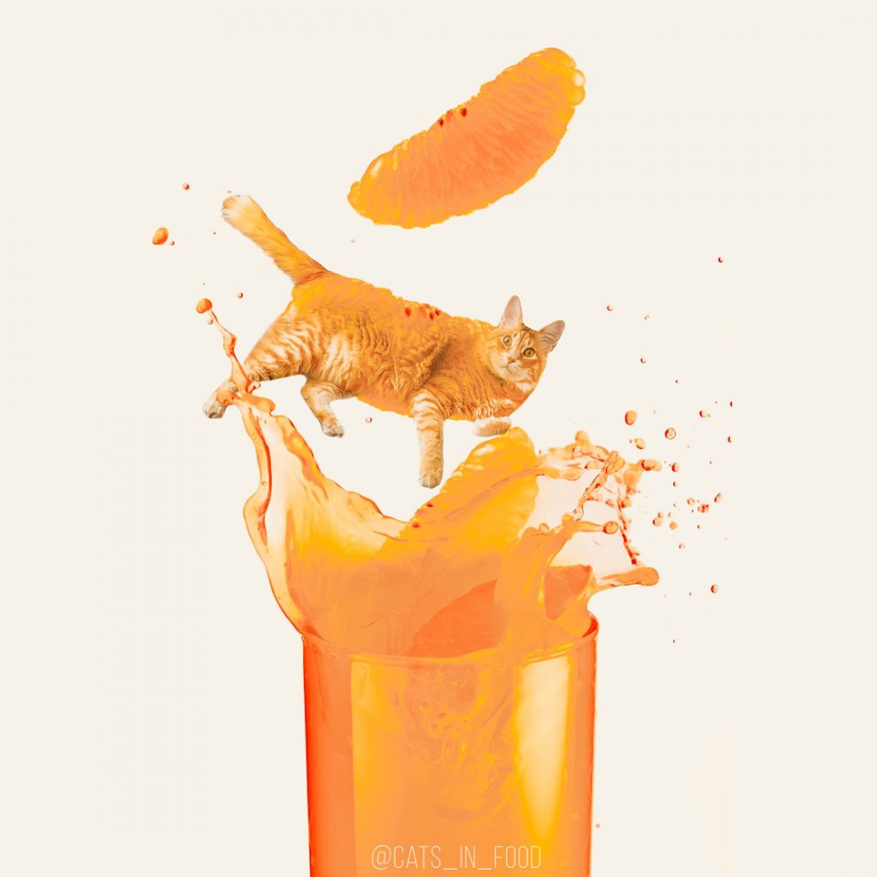 Artist Combines Cats & Food In A Cute Culinary Collaboration » Design ...