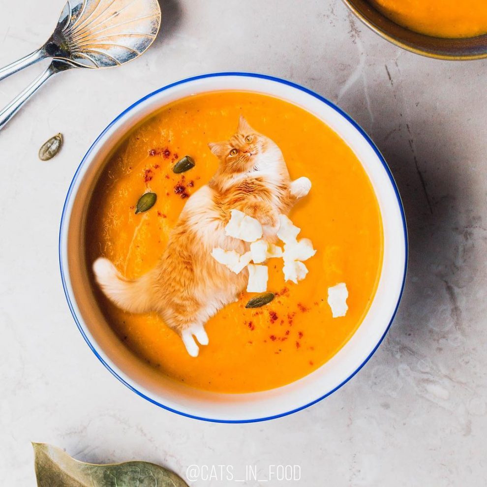 Artist Combines Cats & Food In A Cute Culinary Collaboration » Design ...