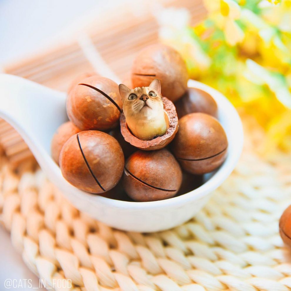 Artist Combines Cats & Food In A Cute Culinary Collaboration » Design ...