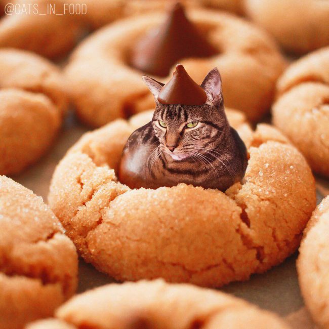 Artist Combines Cats & Food In A Cute Culinary Collaboration » Design ...