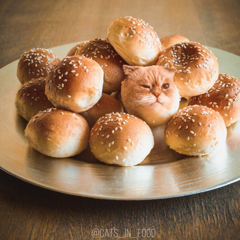 Artist Combines Cats & Food In A Cute Culinary Collaboration » Design ...