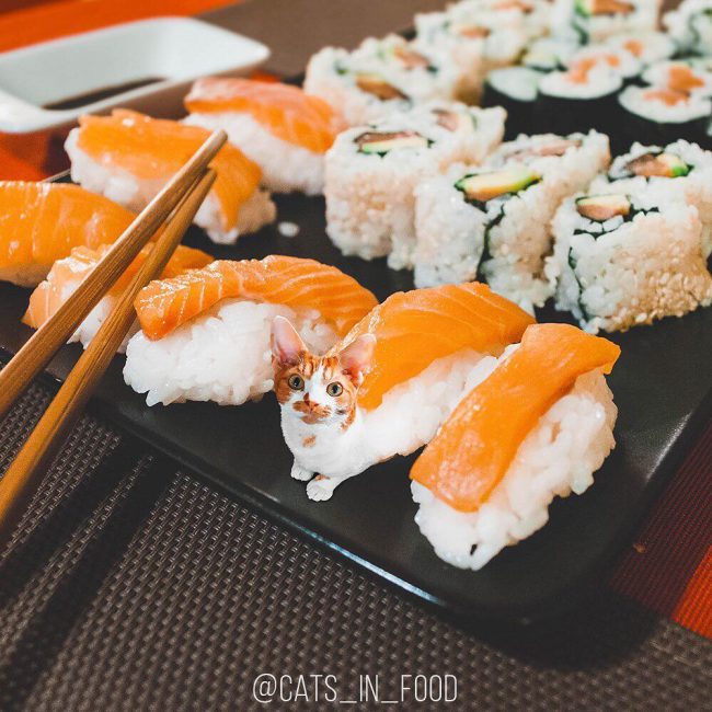 Artist Combines Cats & Food In A Cute Culinary Collaboration » Design ...