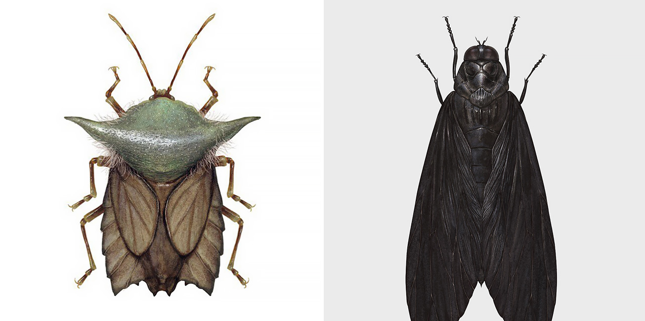 Artist Richard Wilkinson Mutates Insects To Resemble Star Wars