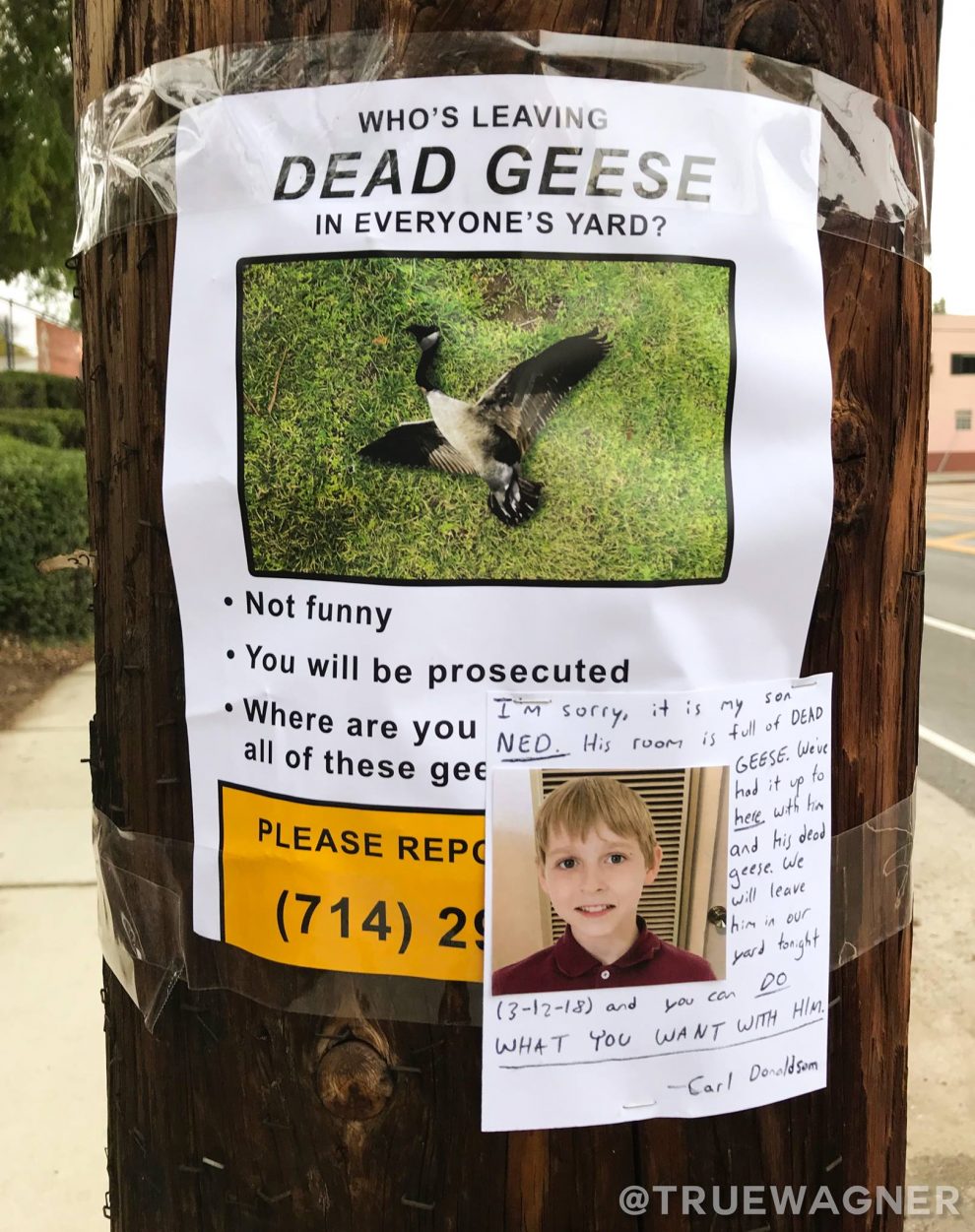 Comedian Creates Hilarious Fake Signs, Places Them All Around Los ...