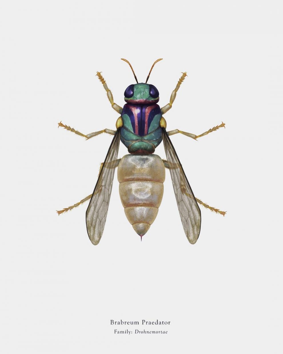 Artist Richard Wilkinson Mutates Insects To Resemble Star Wars ...