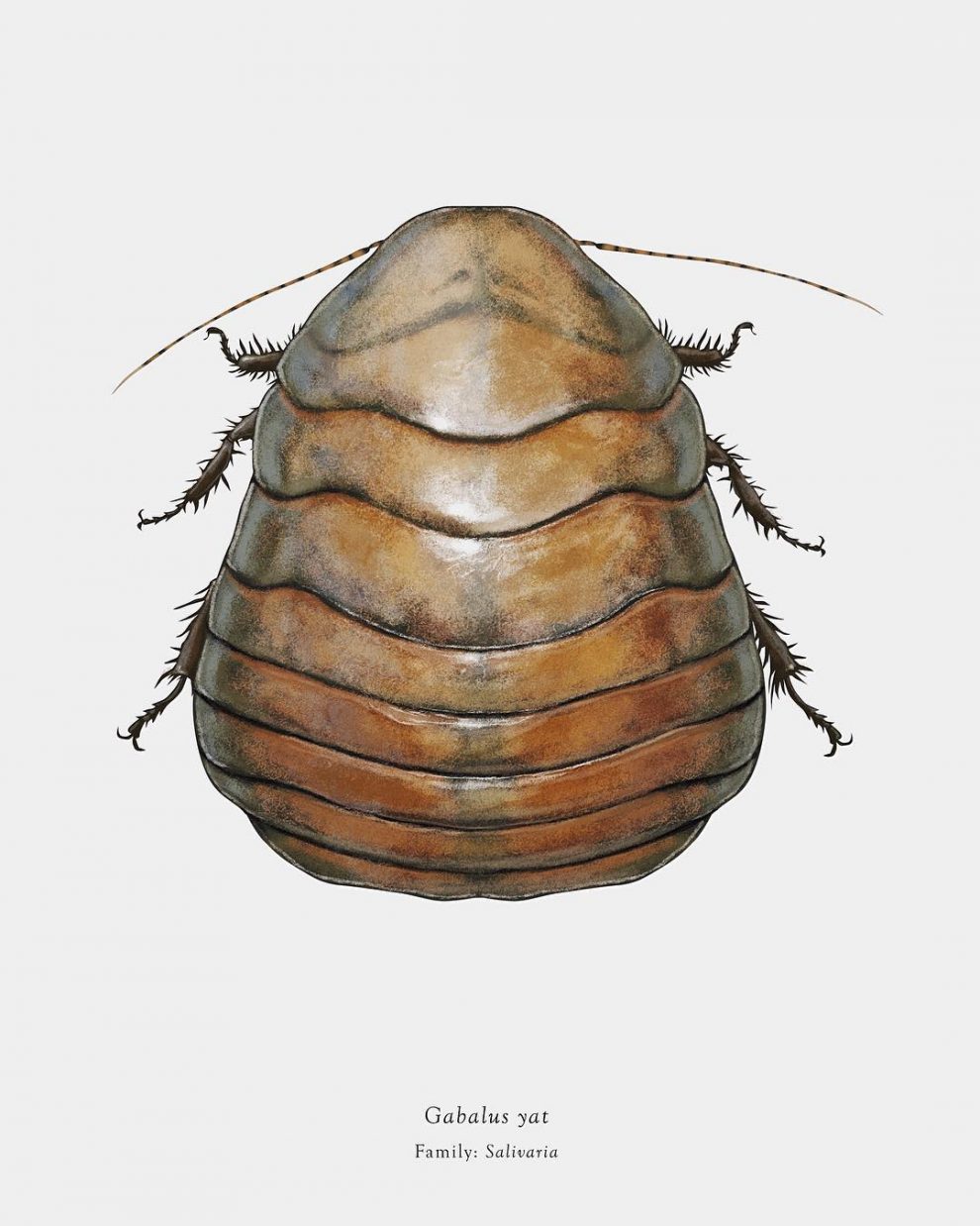 Artist Richard Wilkinson Mutates Insects To Resemble Star Wars ...