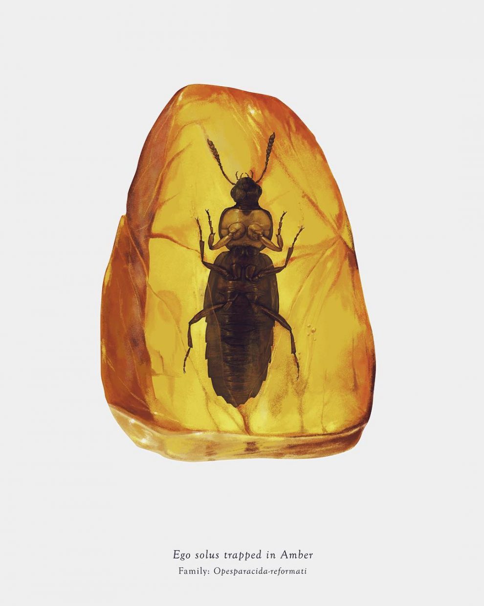 Artist Richard Wilkinson Mutates Insects To Resemble Star Wars ...