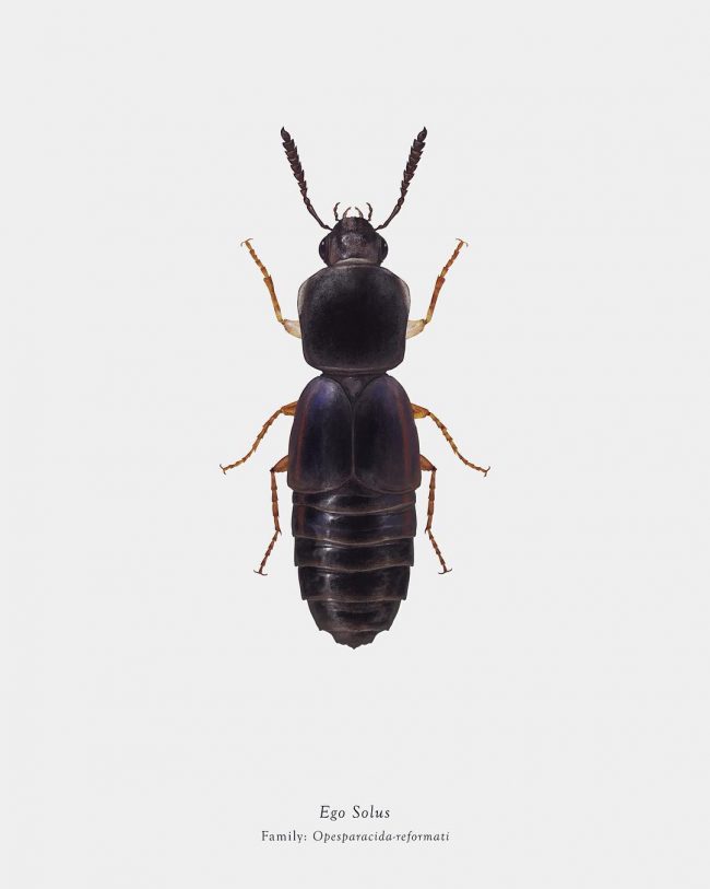 Artist Richard Wilkinson Mutates Insects To Resemble Star Wars ...