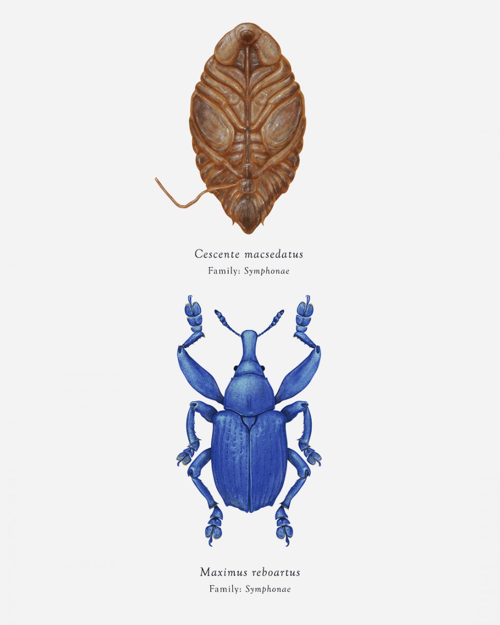 Artist Richard Wilkinson Mutates Insects To Resemble Star Wars ...