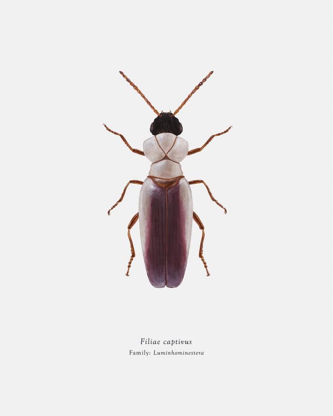 Artist Richard Wilkinson Mutates Insects To Resemble Star Wars ...