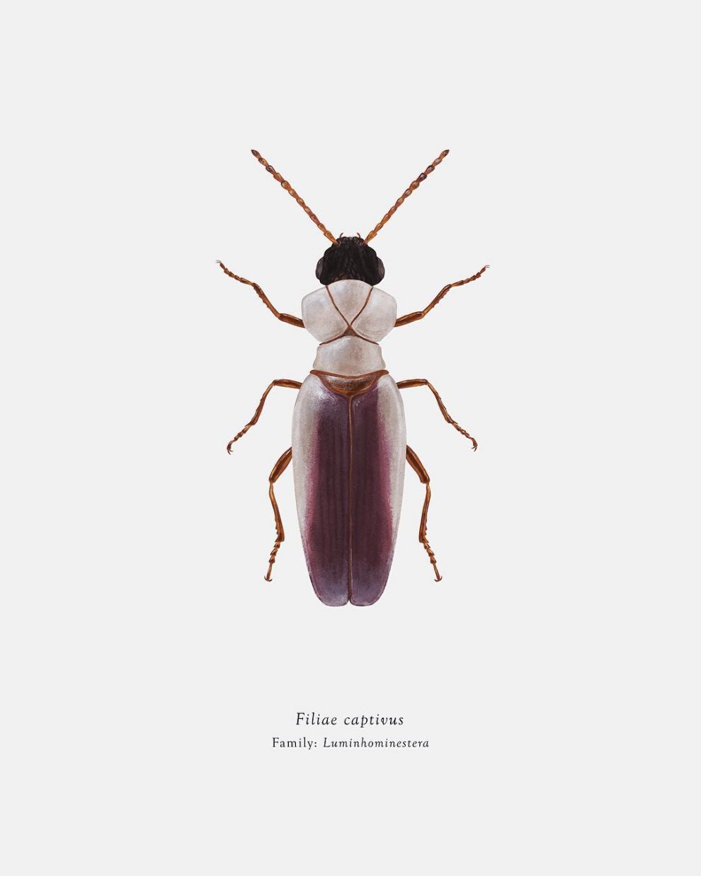 Artist Richard Wilkinson Mutates Insects To Resemble Star Wars ...
