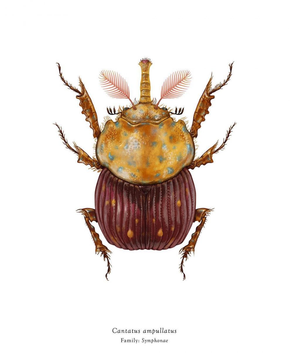 Artist Richard Wilkinson Mutates Insects To Resemble Star Wars ...