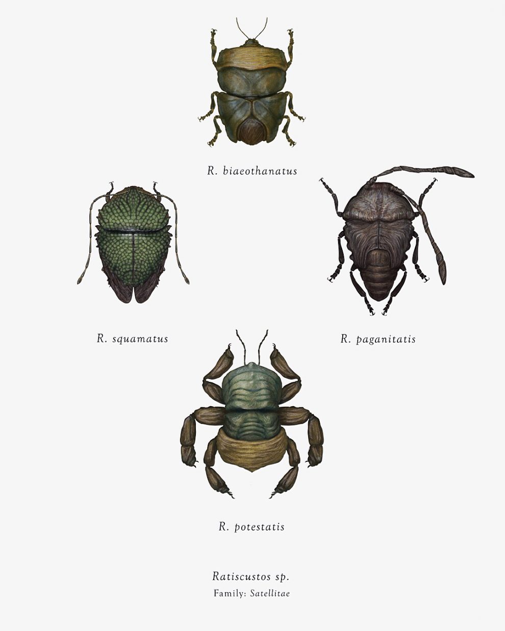 Artist Richard Wilkinson Mutates Insects To Resemble Star Wars ...
