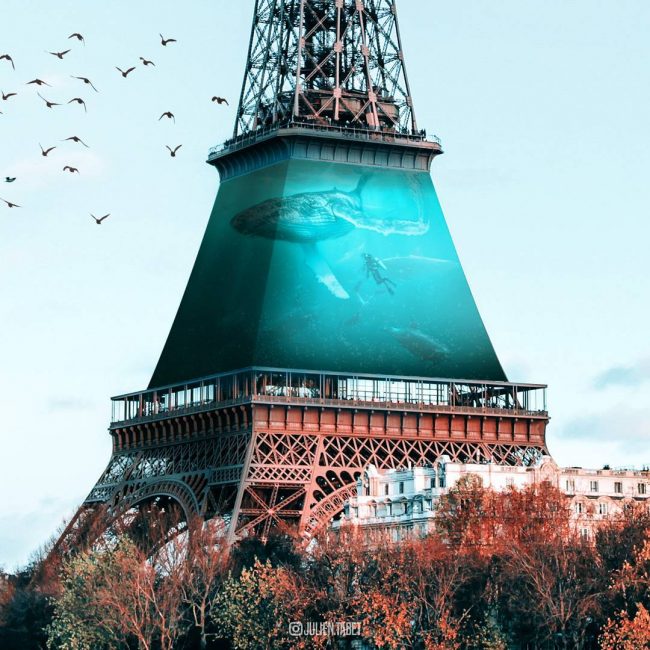 Dreamlike Animals: Whimsical Photo Manipulation By Julien Tabet ...
