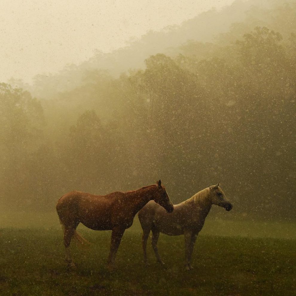 Daredevil Photographer And A Storm Chaser Captures Stunning Pictures Of ...
