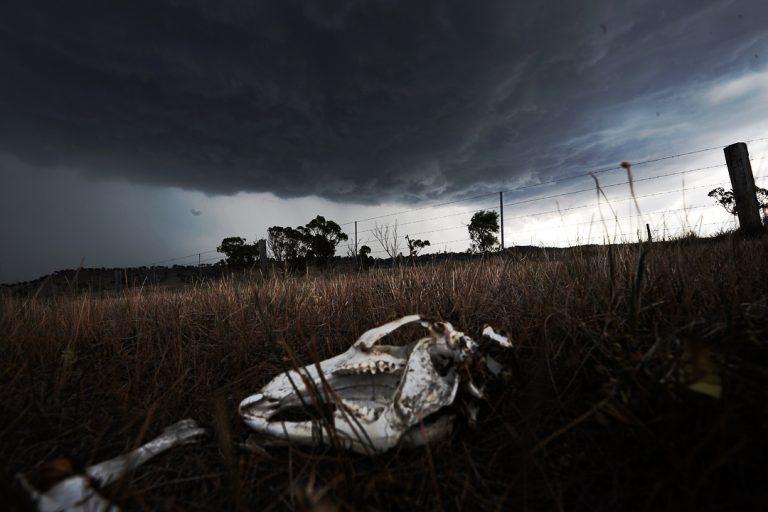 Daredevil Photographer And A Storm Chaser Captures Stunning Pictures Of ...