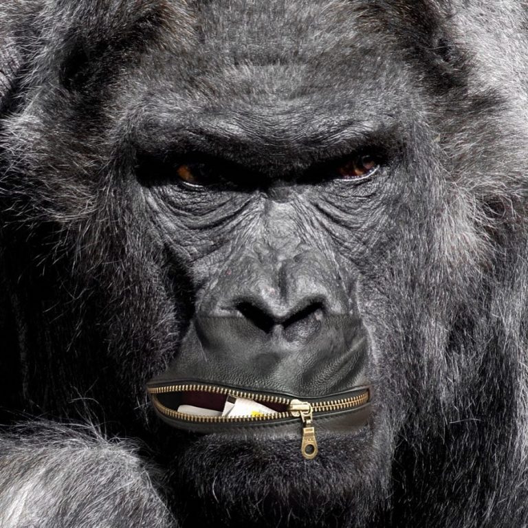 Incredibly Strange Collages That Will Make You Very Uncomfortable ...