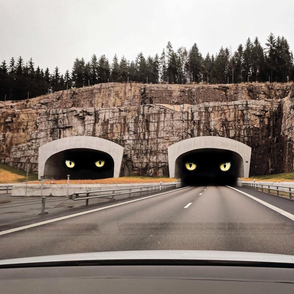 Incredibly Strange Collages That Will Make You Very Uncomfortable ...