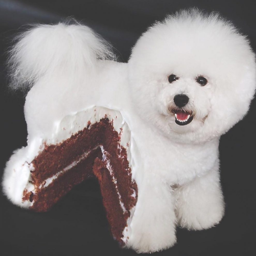 Incredibly Strange Collages That Will Make You Very Uncomfortable ...