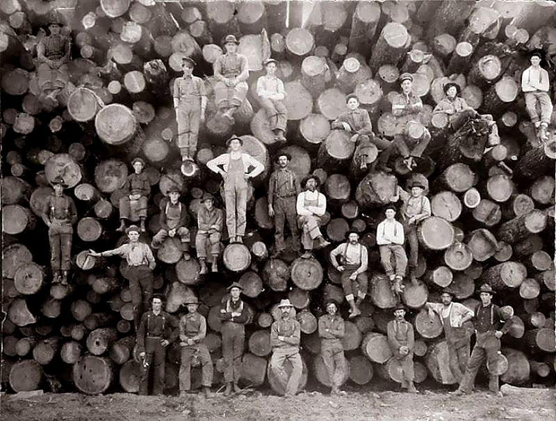 Vintage Photos Of Lumberjacks Who Felled Big Trees Using Only Hand ...