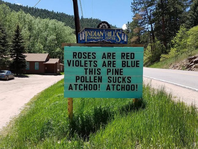 Someone In Colorado Is Putting Up The Funniest Signs Ever » Design You ...