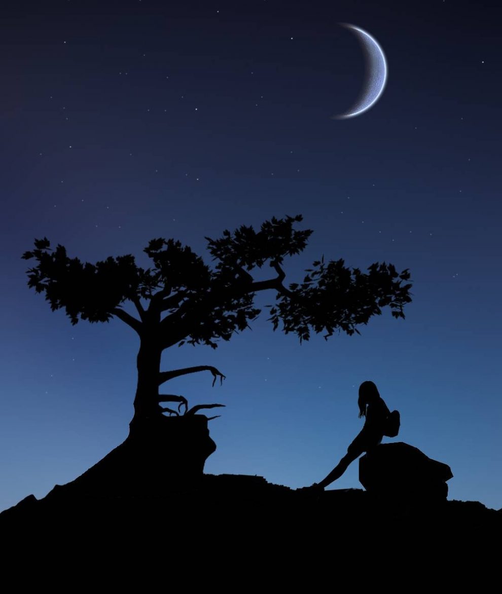 Turkish Artist Abdullah Evindar Creates Fantastic Surreal Silhouette ...
