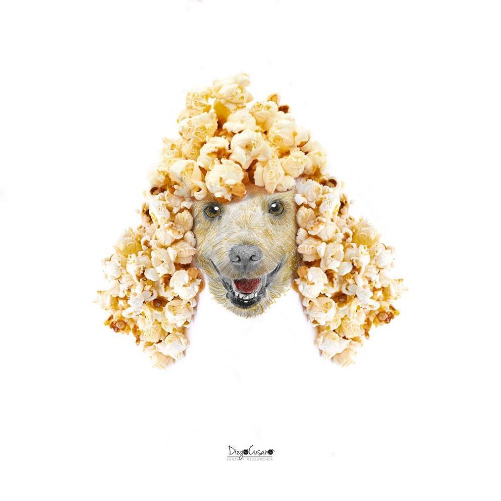 Meet Diego Cusano, The Italian Artist Who Sees Daily Objects ...