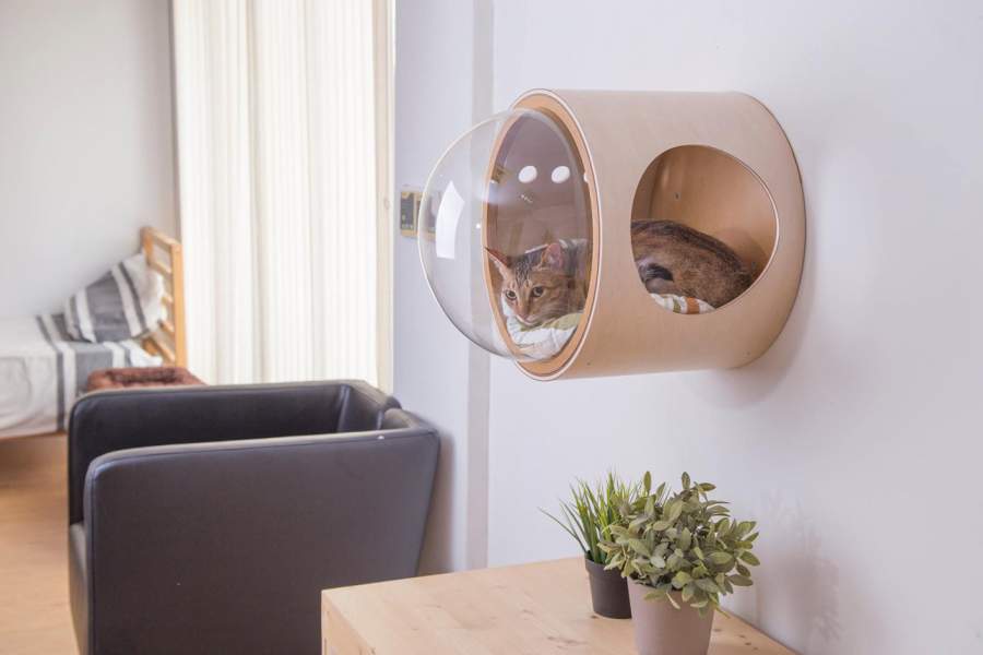 No One Will Know This Is a Space-Age Napping Pod For Your Cat » Design ...