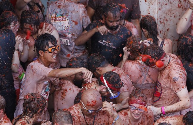Great Tomato Fight 2018 » Design You Trust — Design Daily Since 2007