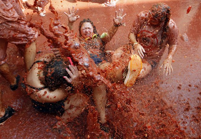 Great Tomato Fight 2018 » Design You Trust — Design Daily Since 2007