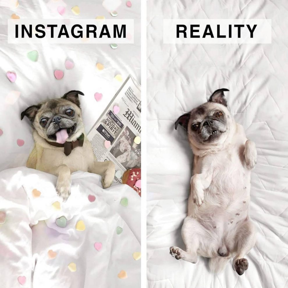 German Woman Shows The Reality Of Perfect Instagram Photos And The ...