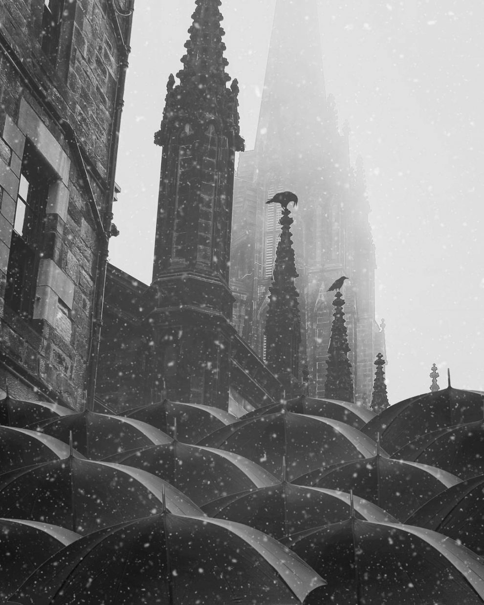 Artist Transforms Photographs Into Completely Superb Different Images ...